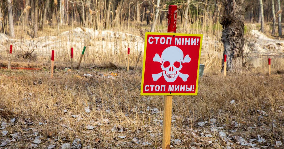 Historic landmine ban treaty at risk | The HALO Trust