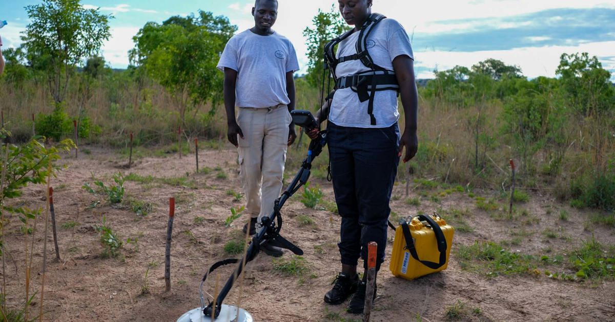 Detectors speed up demining by 30% | The HALO Trust